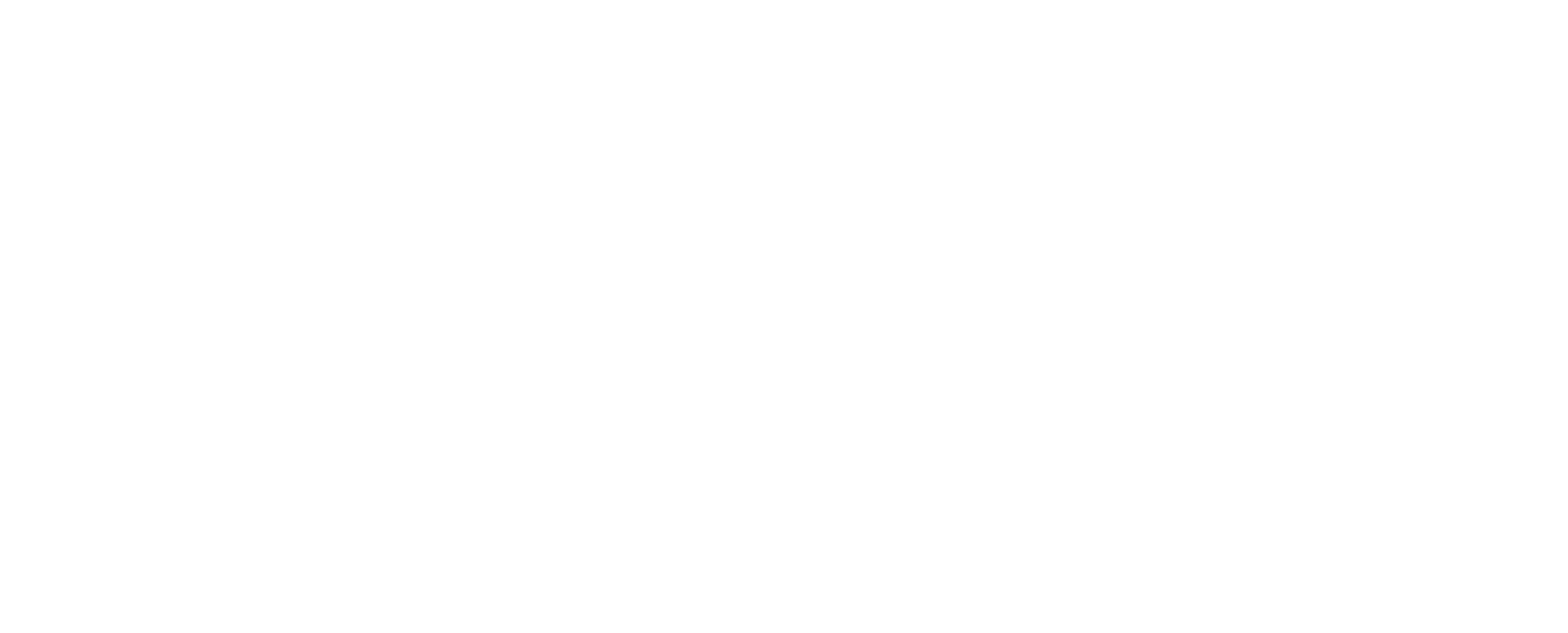 Services - Innovus Data